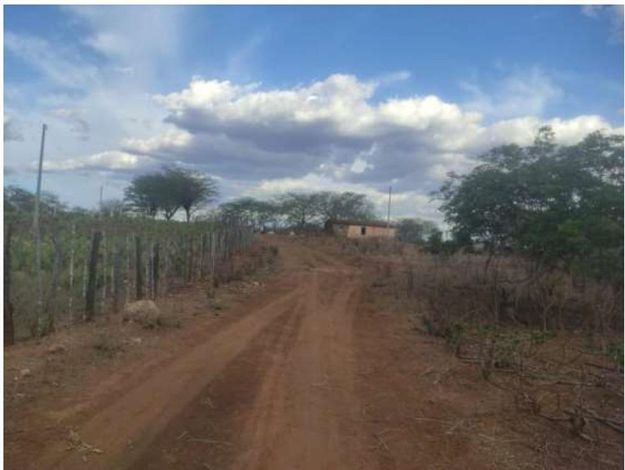 Sítio com casa sede e armazém em Betânia/PE - Rural em Zona Rural ...