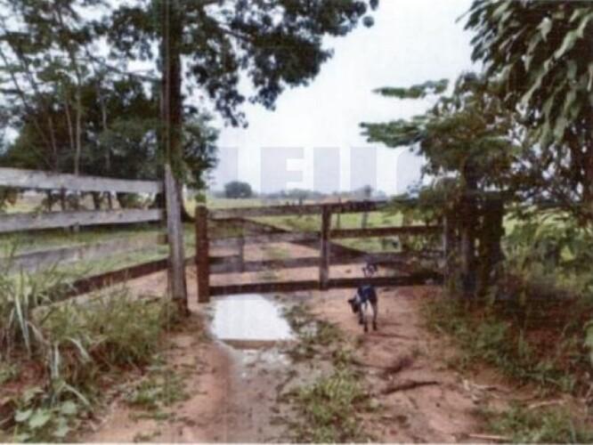 Gleba Rural em Ji-Paraná/RO com 50,8740 ha - Rural em Habitar Brasil ...