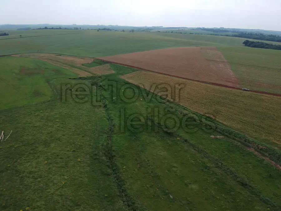 Área Rural com 25 Hectares em Entre Ijuís - RS - Rural em Carajazinho ...